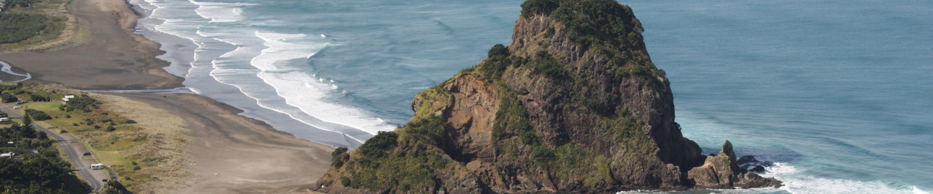 New Zealand Conservation Volunteering - Auckland | Love Volunteers