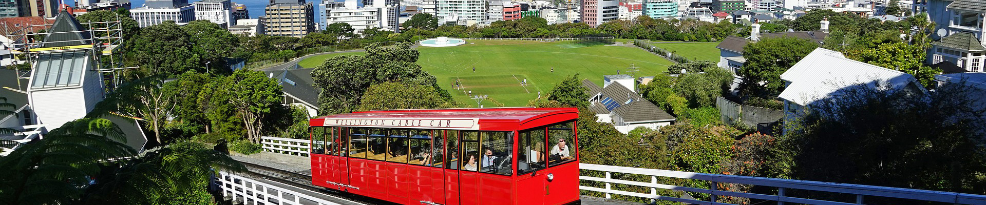 New Zealand Conservation Volunteer Program - Wellington | Love Volunteers